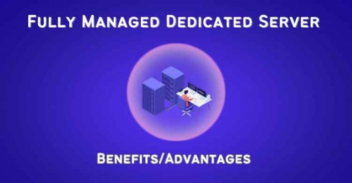 Fully Managed Dedicated Server Benefits/Advantages 2024 Fully Managed Dedicated Server Benefits/Advantages 2024