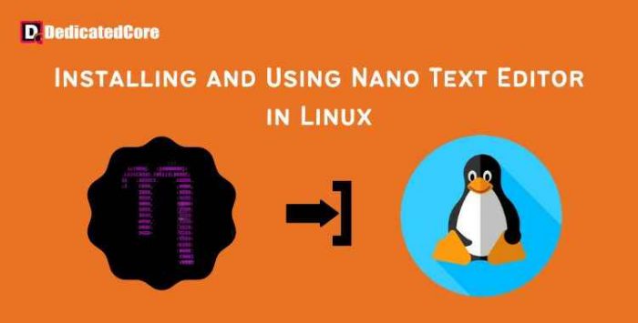 Install And Use Nano Text Editor In Linux 11 Commands
